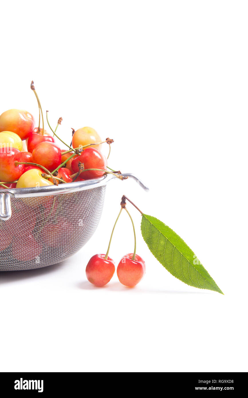 Steel colander with ripe berries of yellow and red sweet cherries and ...