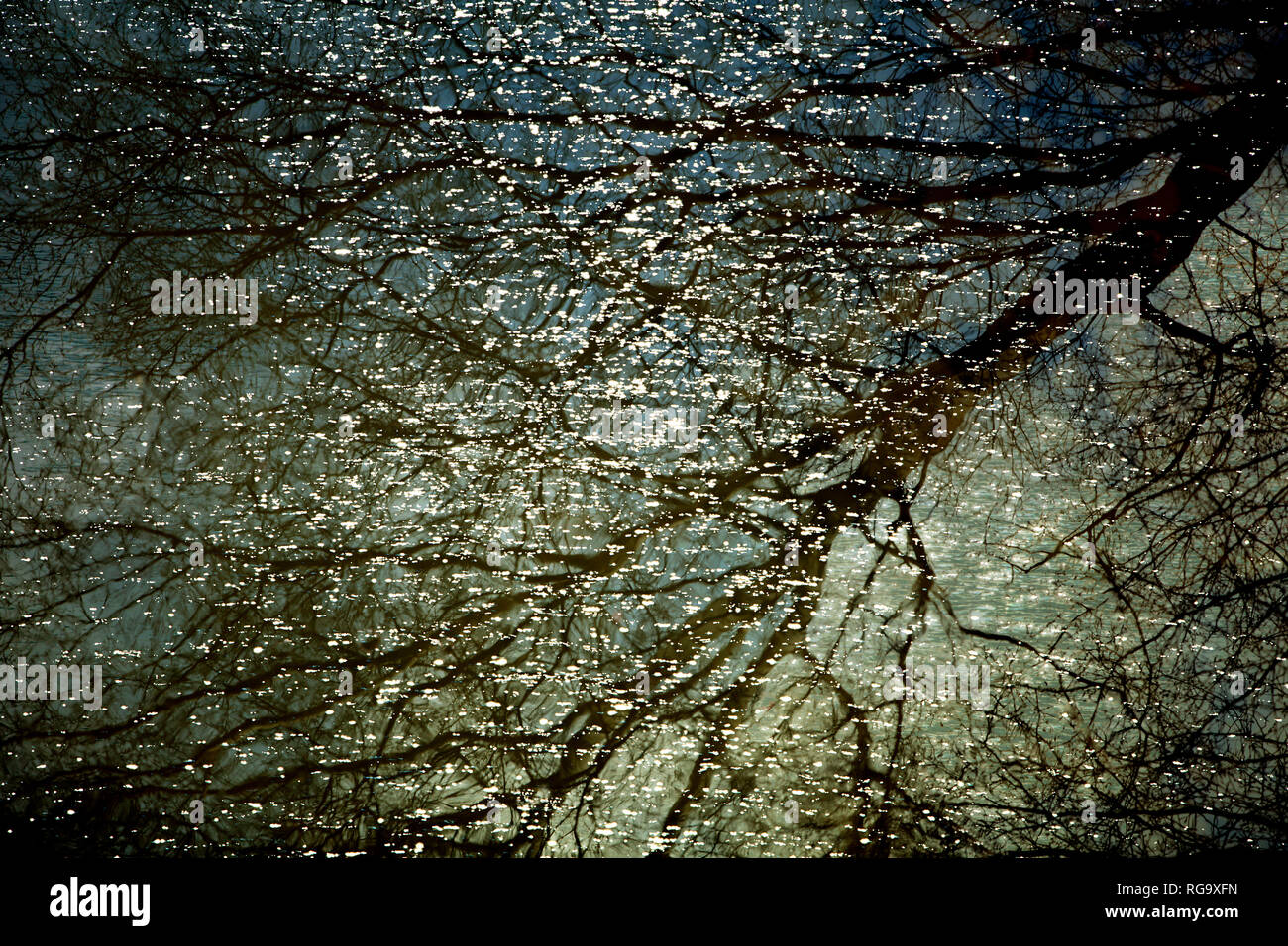 Beautiful scene fresh water hi-res stock photography and images - Alamy