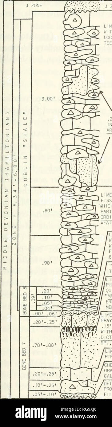 Dark zone fish hi-res stock photography and images - Alamy