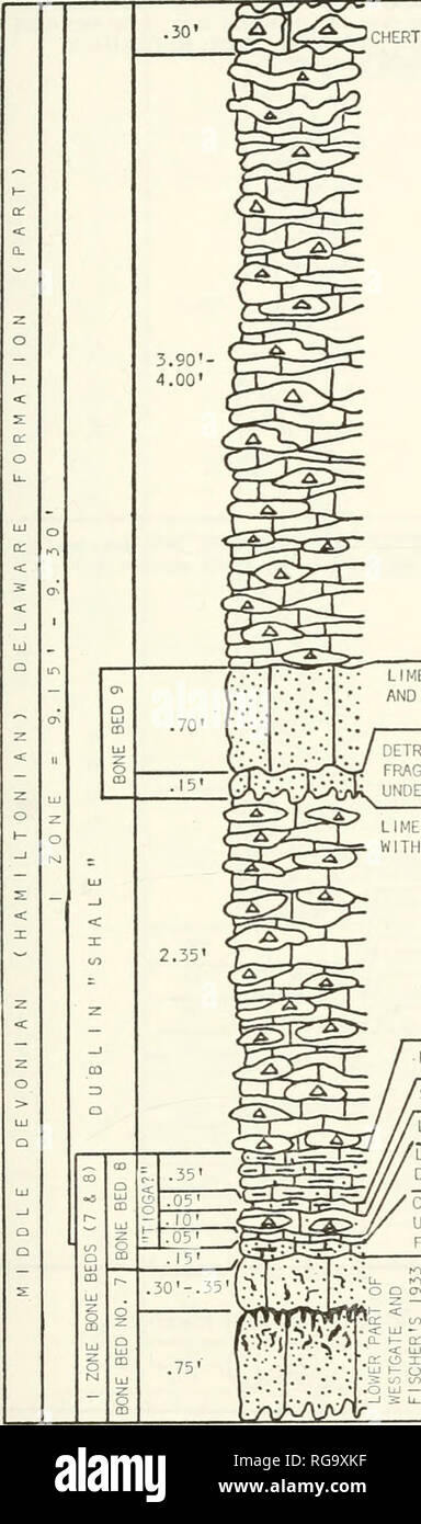 Fissile shale hi-res stock photography and images - Alamy