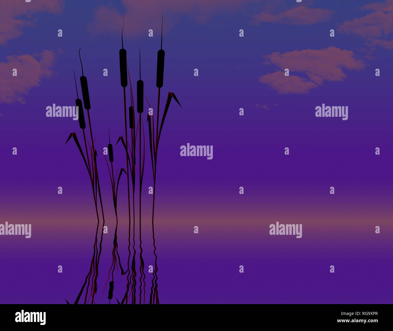 Cattails in water are the subject of this natural background image ...