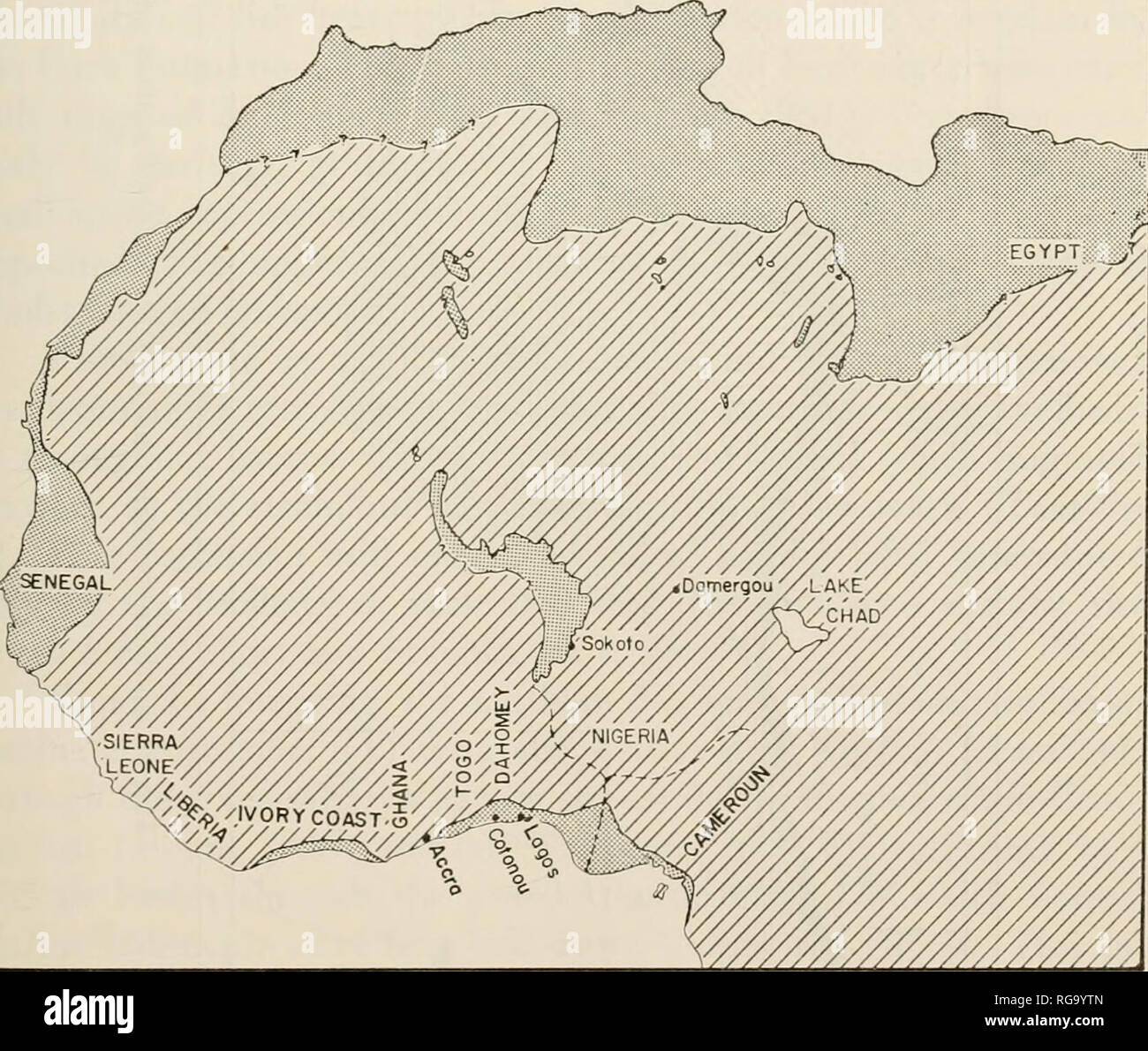 . Bulletins of American paleontology. Paleocene Nigeria: Adegoke 21 ...