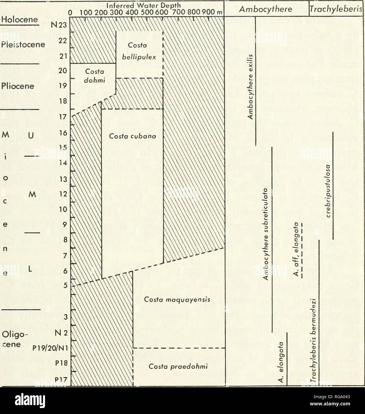 . Bulletins of American paleontology. Neocene Ostracoda from Haiti ...