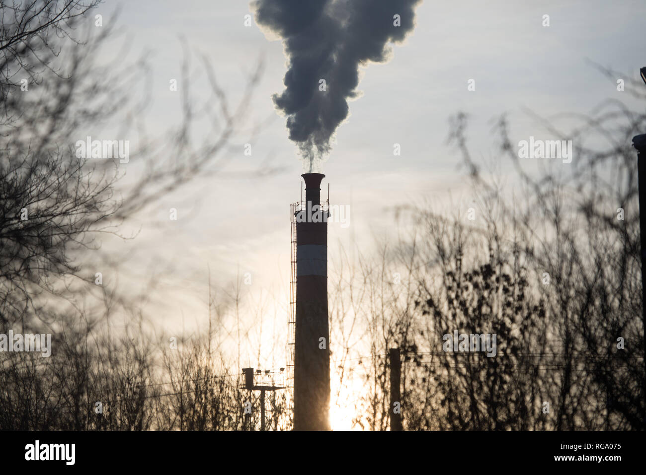 Thick smoke from the factory chimney against the rising sun. Tree ...