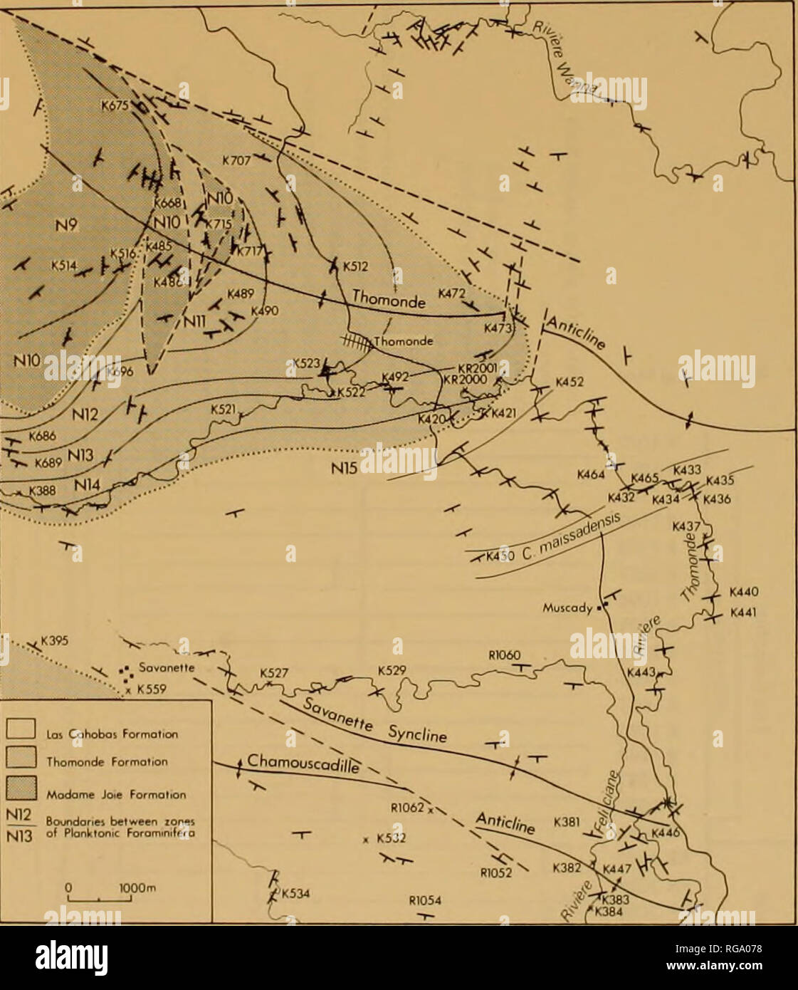 . Bulletins of American paleontology. Table 8. Distribution of ...