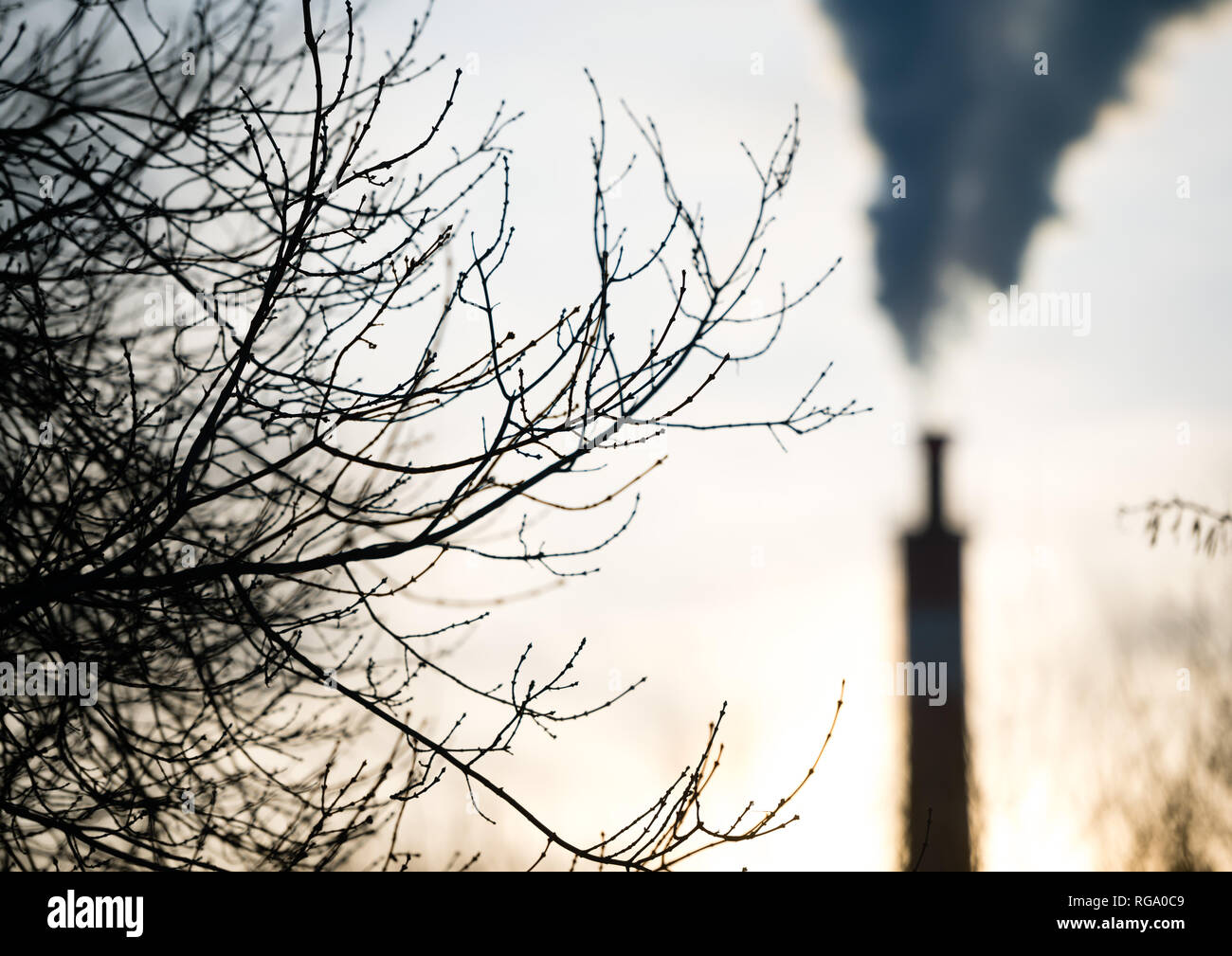 Thick smoke from the factory chimney against the rising sun. Tree ...