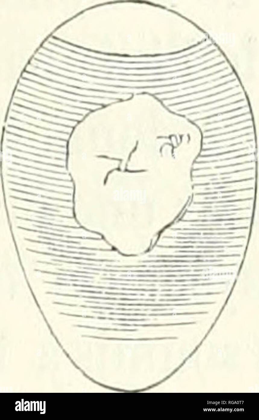 Faux jour hi-res stock photography and images - Alamy