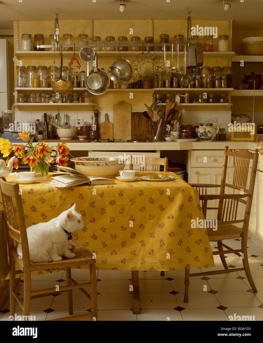 White cat on chair beside kitchen table with yellow cloth Stock Photo ...