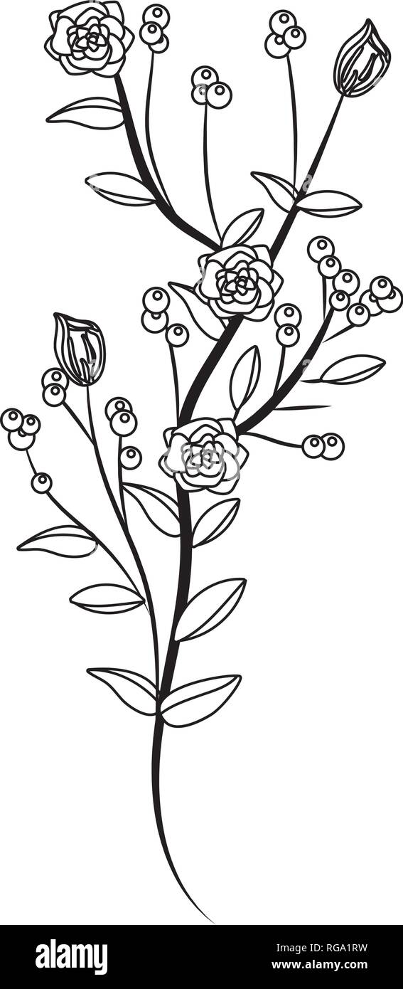 roses branches icon Stock Vector Image & Art - Alamy