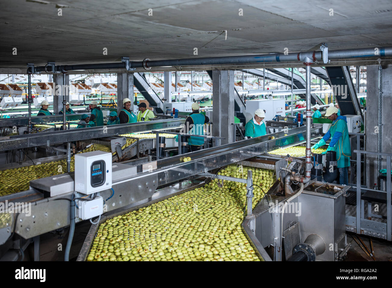 Working with apple hi-res stock photography and images - Alamy