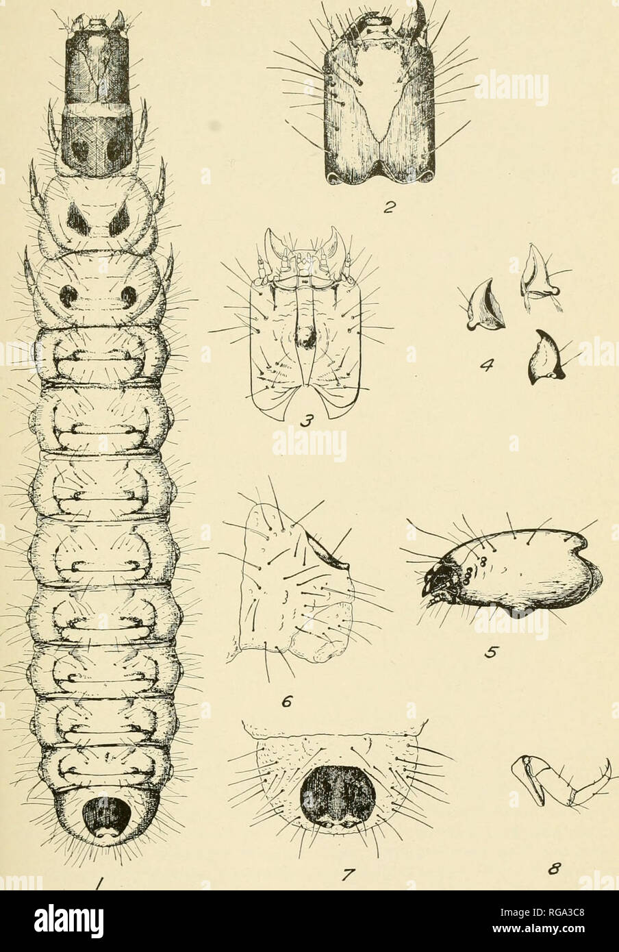 737 1 g hi-res stock photography and images - Alamy