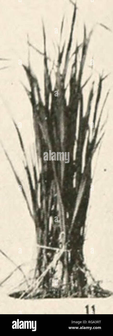 Kainite High Resolution Stock Photography and Images - Alamy