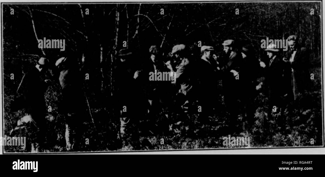 Counting tree rings Black and White Stock Photos & Images - Alamy