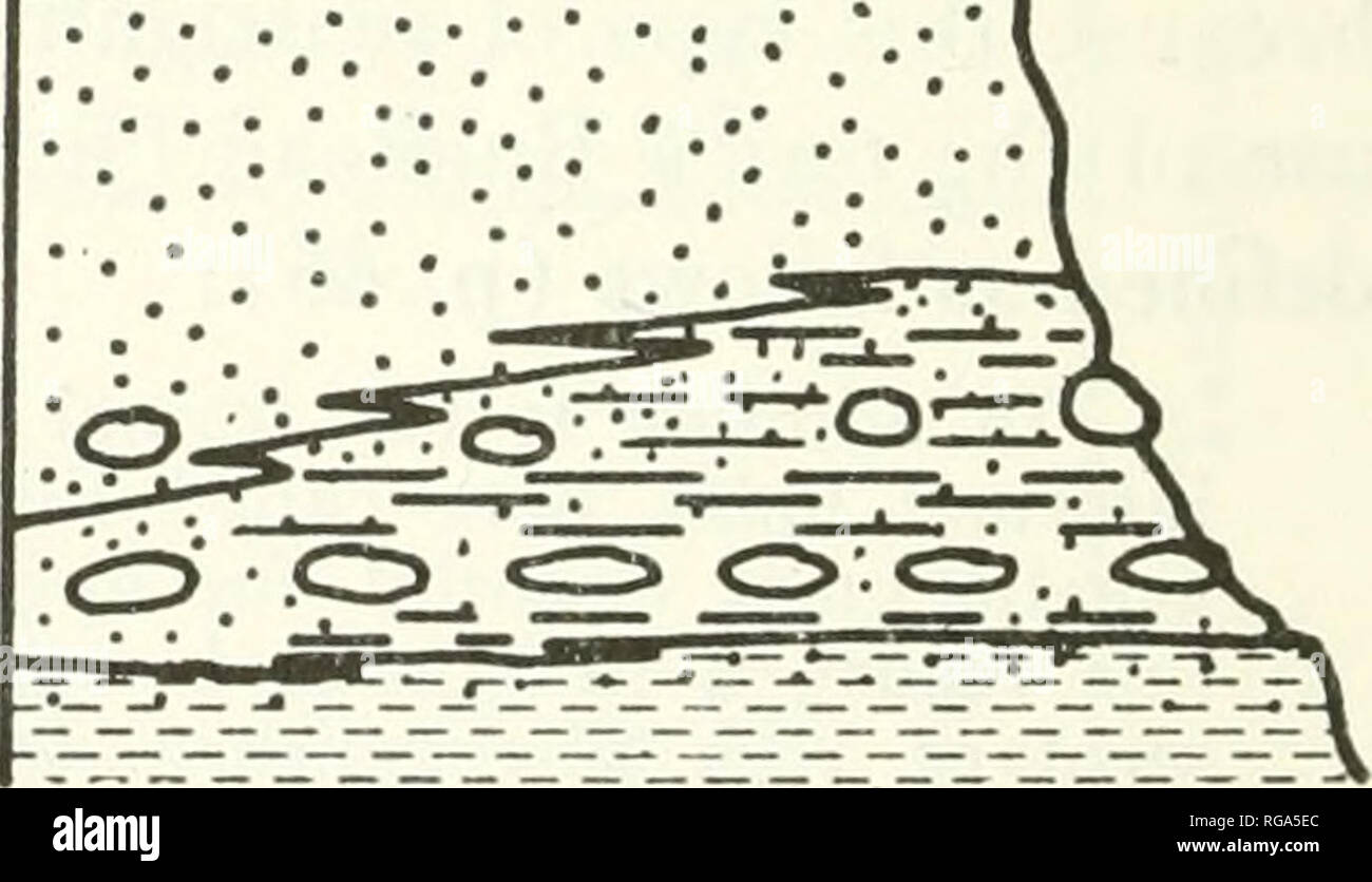 Stratigraphic column hi-res stock photography and images - Alamy