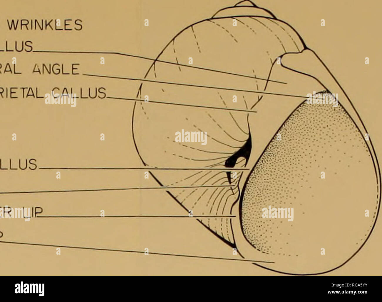 Funicle High Resolution Stock Photography and Images - Alamy