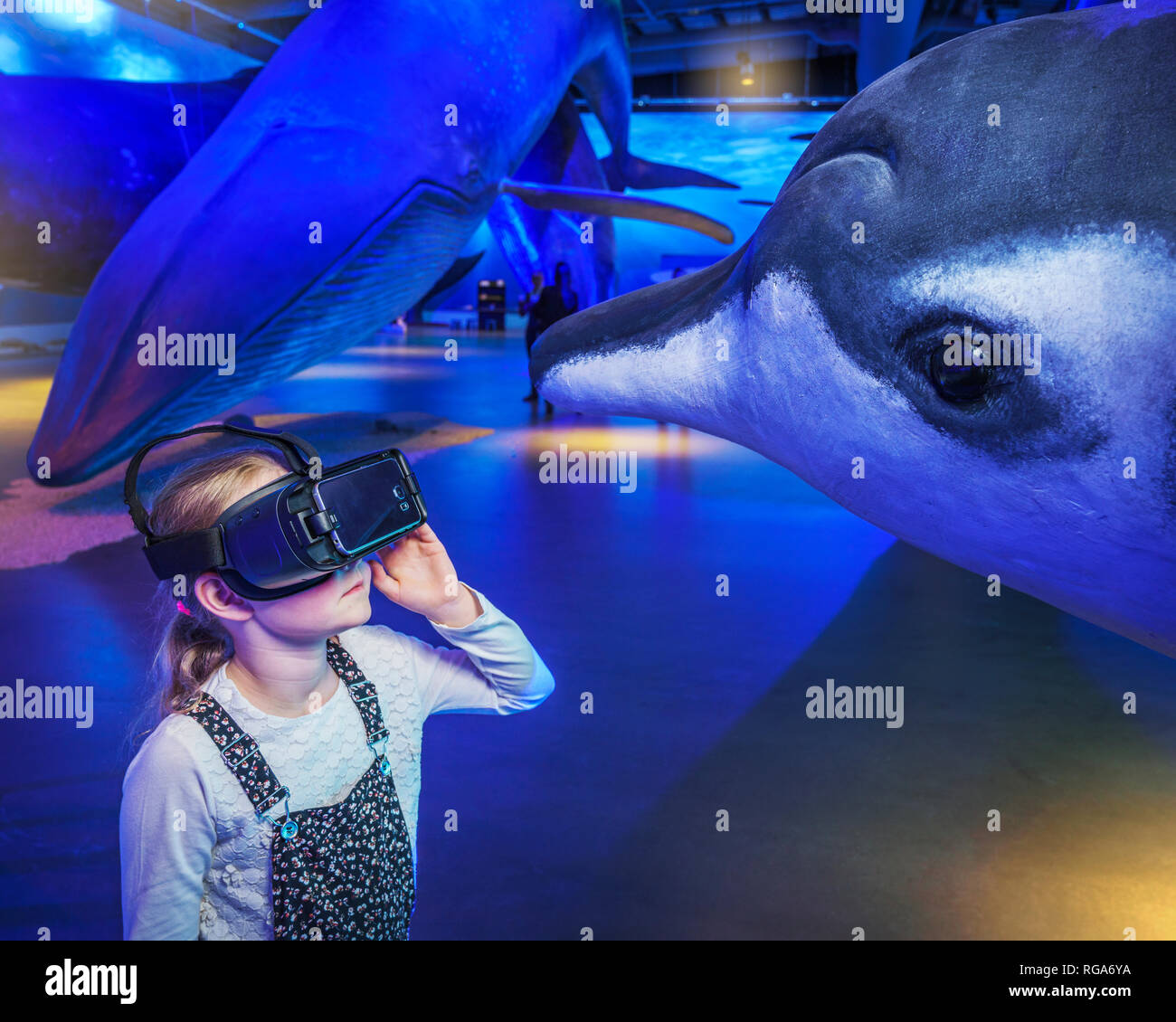 Virtual museum tour hi-res stock photography and images - Alamy