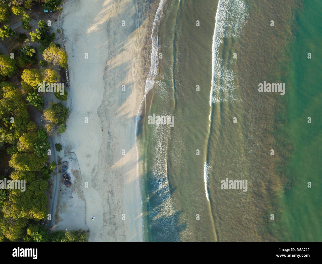 Photo of sea view and plants from the seashore hi-res stock photography ...
