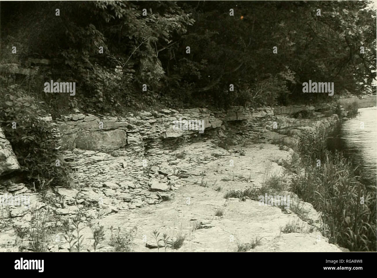 Shaley hi-res stock photography and images - Alamy