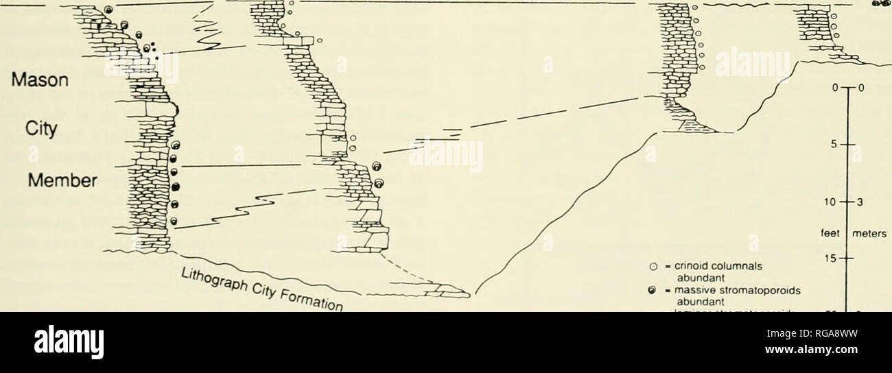 Biostrome hi-res stock photography and images - Alamy