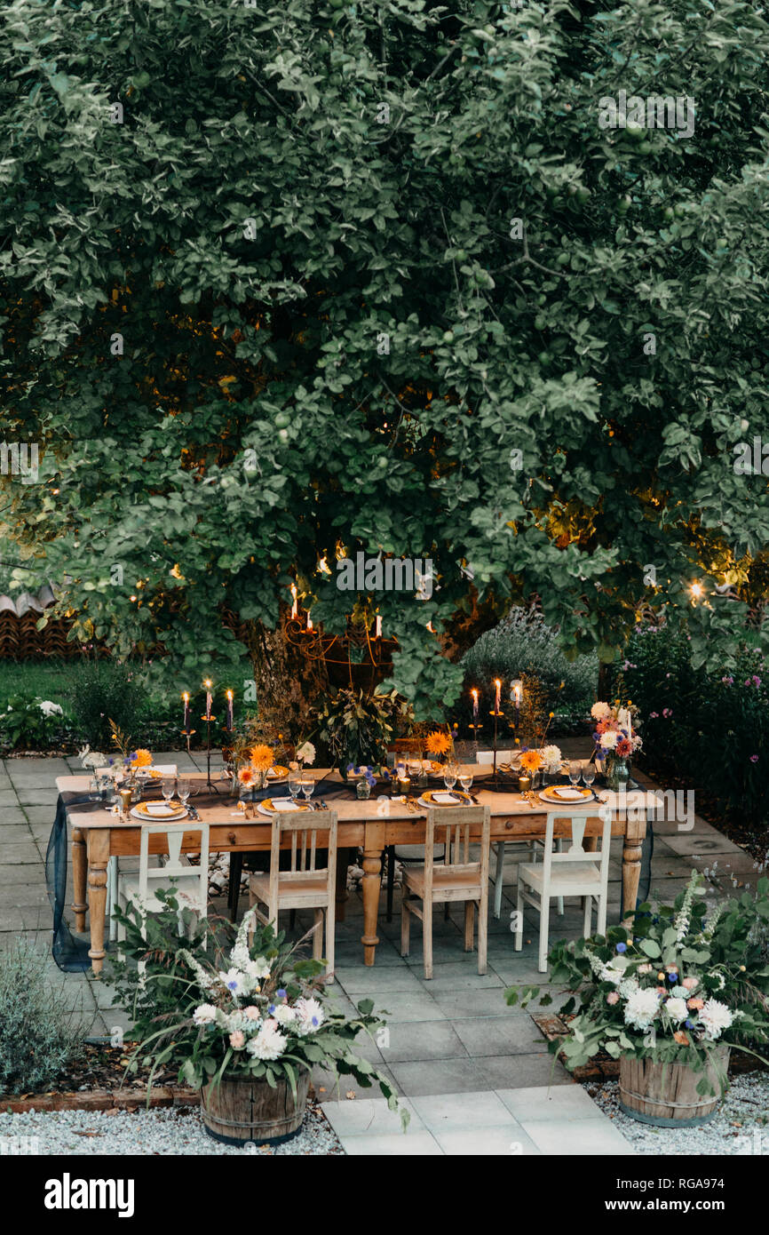 Table under the tree hi-res stock photography and images - Alamy