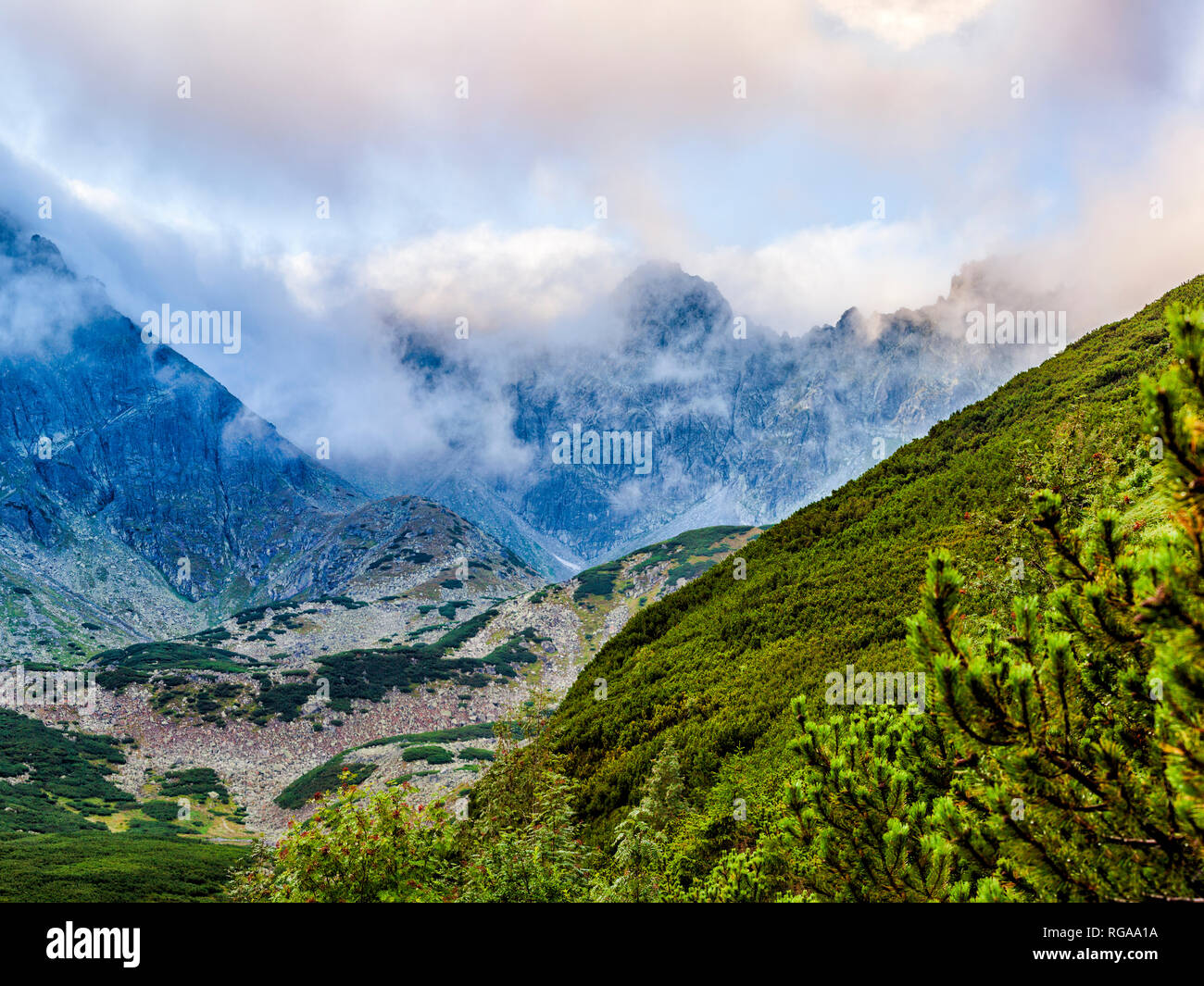 Polish Tatra mountains summer landscape early morning Stock Photo - Alamy