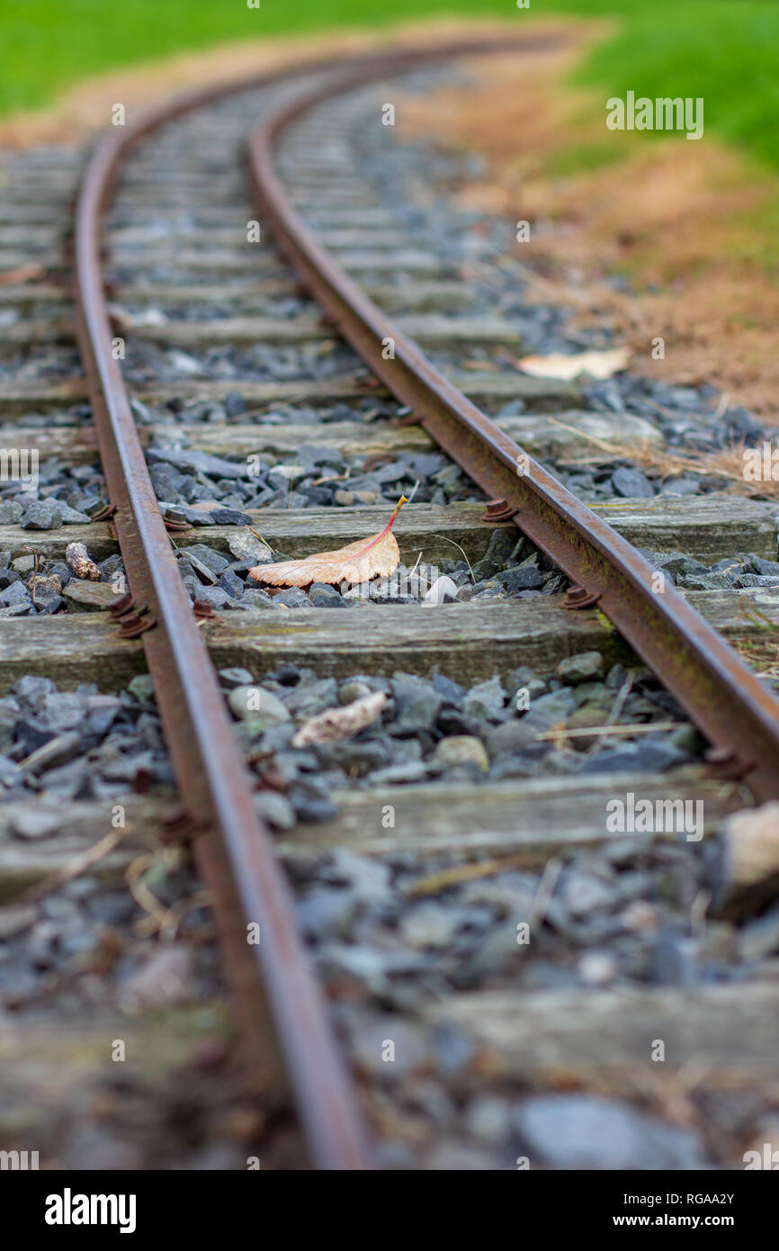 Low perspective image of narrow guage railroad tracks for a children's ...