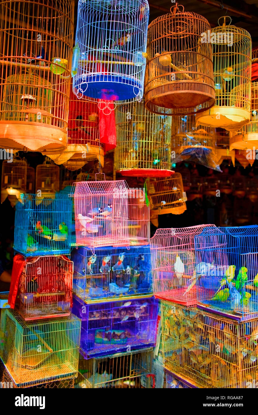Birds for sale at market vietnam hi-res stock photography and images ...