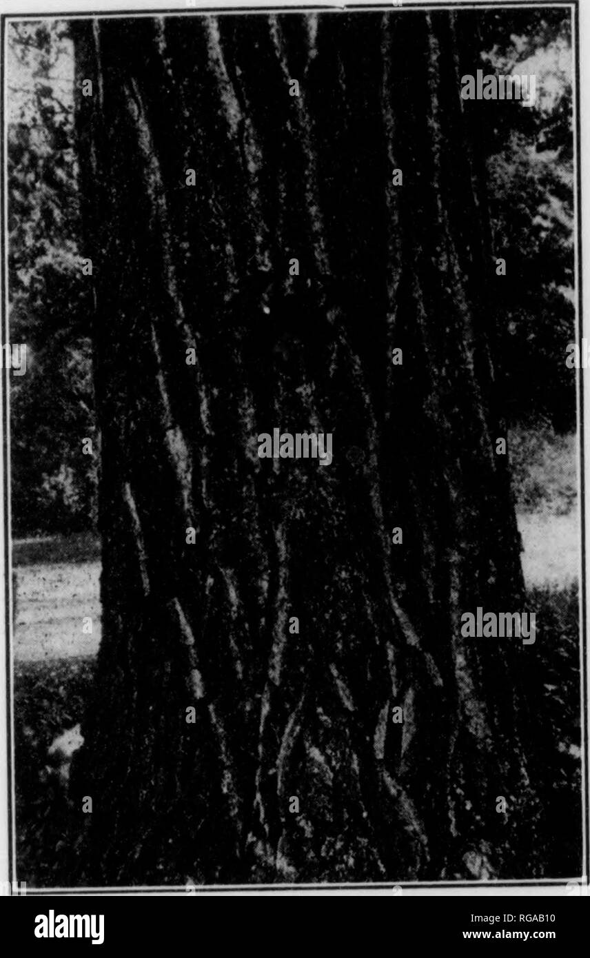 46 93 Black and White Stock Photos & Images - Alamy