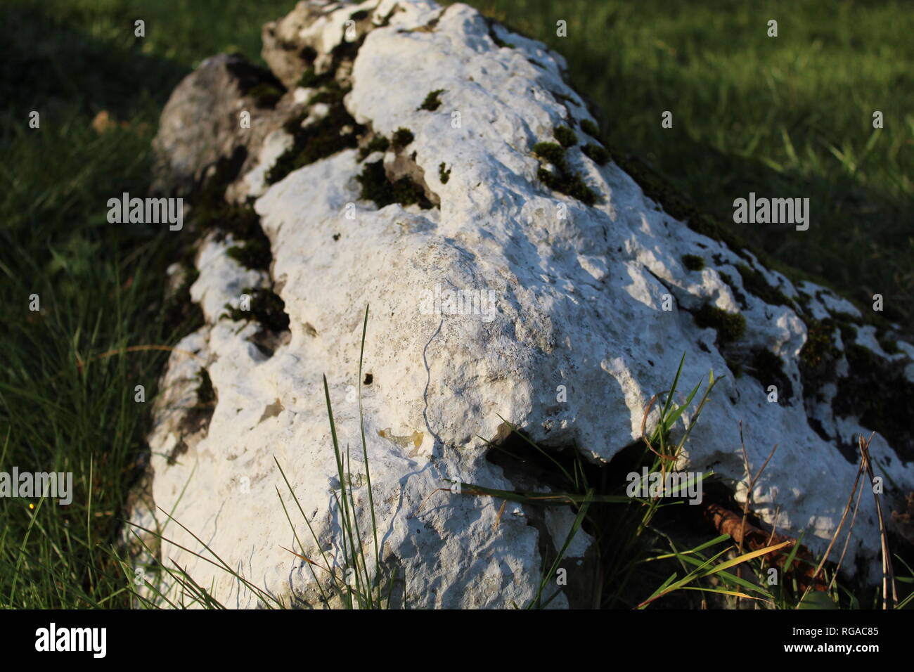 Chalk and Flint Rock in Grass Stock Photo - Alamy
