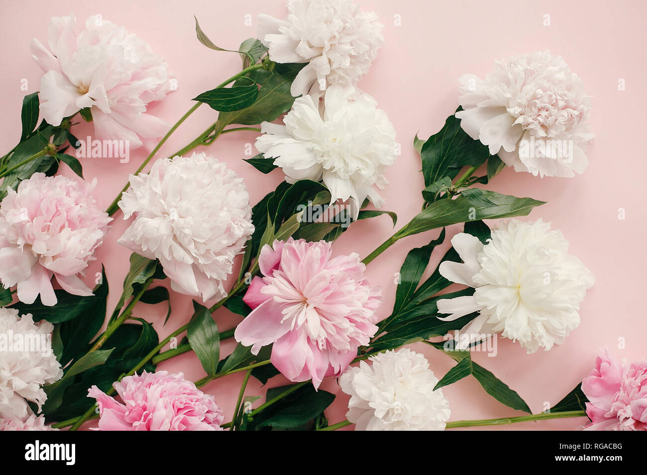 Hello spring. Stylish peonies bouquet flat lay. Pink and white peonies ...