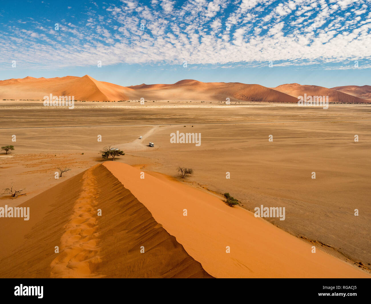 Dune 45 in the salt pan Sossusvlei area of the Namib Desert in Namibia. People at the top of the ...