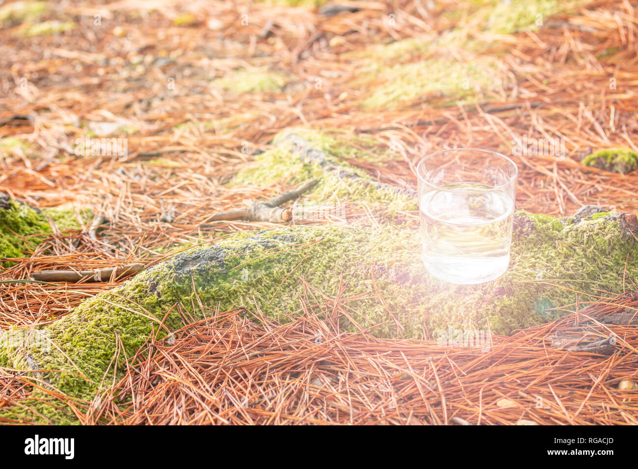 Pure sparkling water in a clear glass against the background of green ...