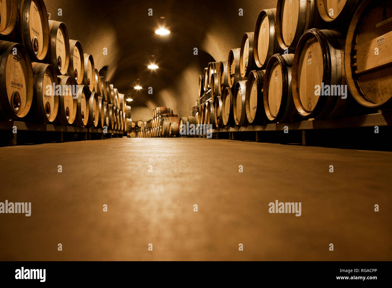 Barrels of wine in storage room Stock Photo - Alamy