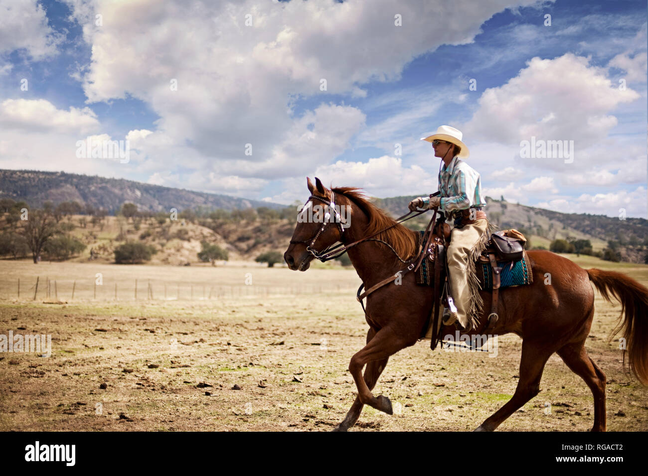 Middle aged wearing cowboy hat hi-res stock photography and images - Alamy