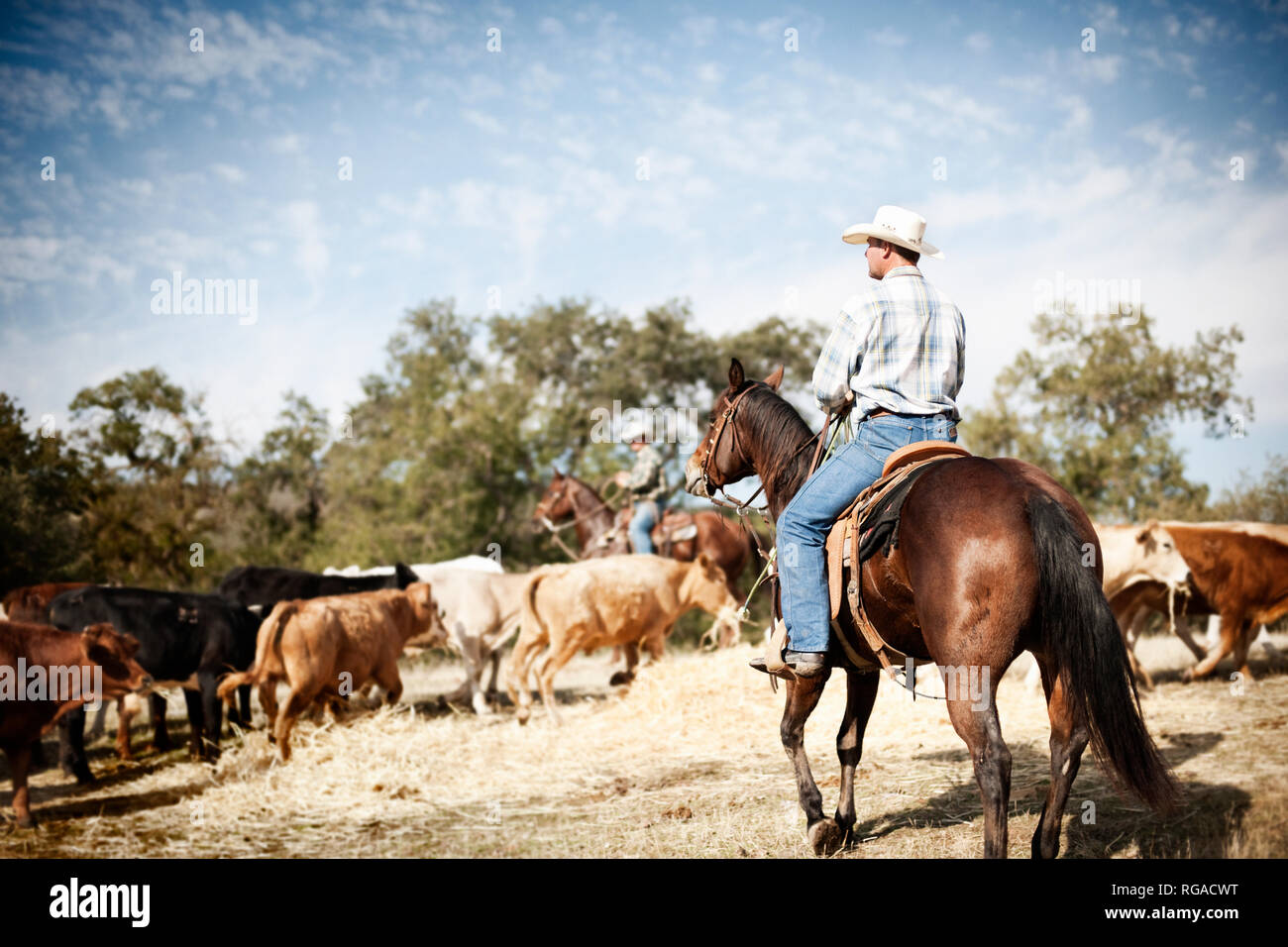 Two cowboys riding horses hi-res stock photography and images - Alamy