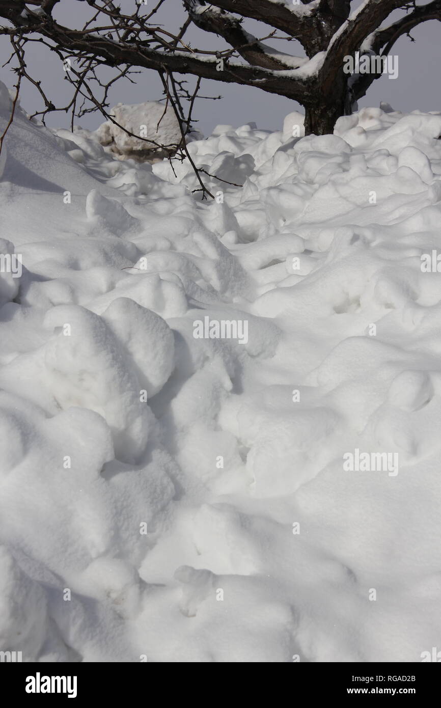 Winter weather snow embankment during Chicago's chiberia #polarvortex ...