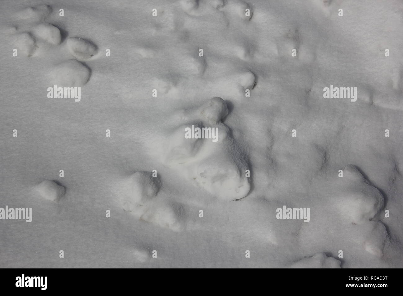 Winter weather snow embankment during Chicago's chiberia #polarvortex ...
