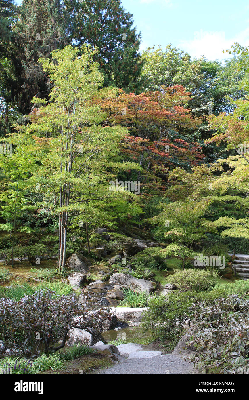 Seattle fall foliage hi-res stock photography and images - Alamy