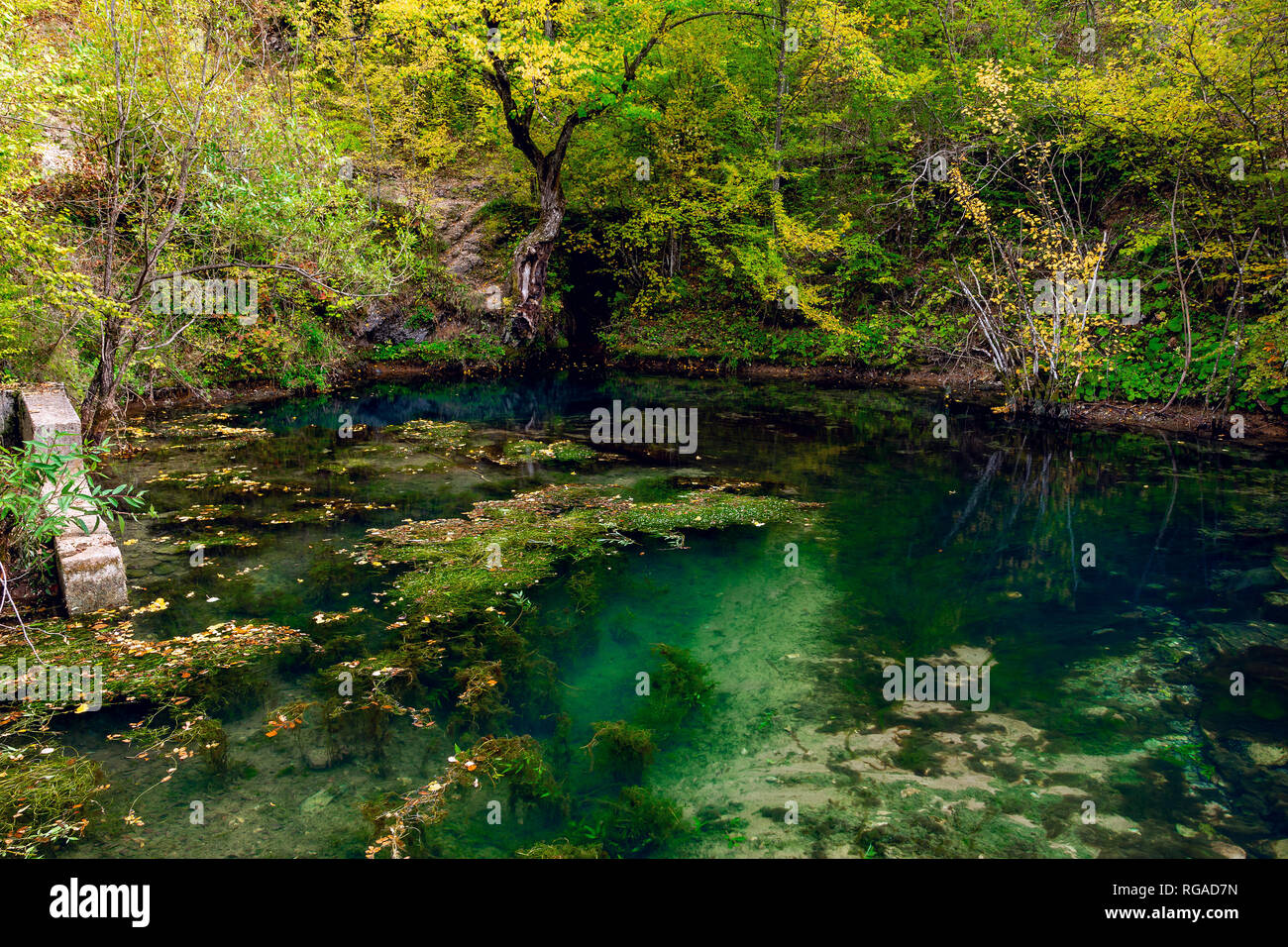 Jelovicko Vrelo thermal water spring in Serbia on Old mountain, ( Stara ...