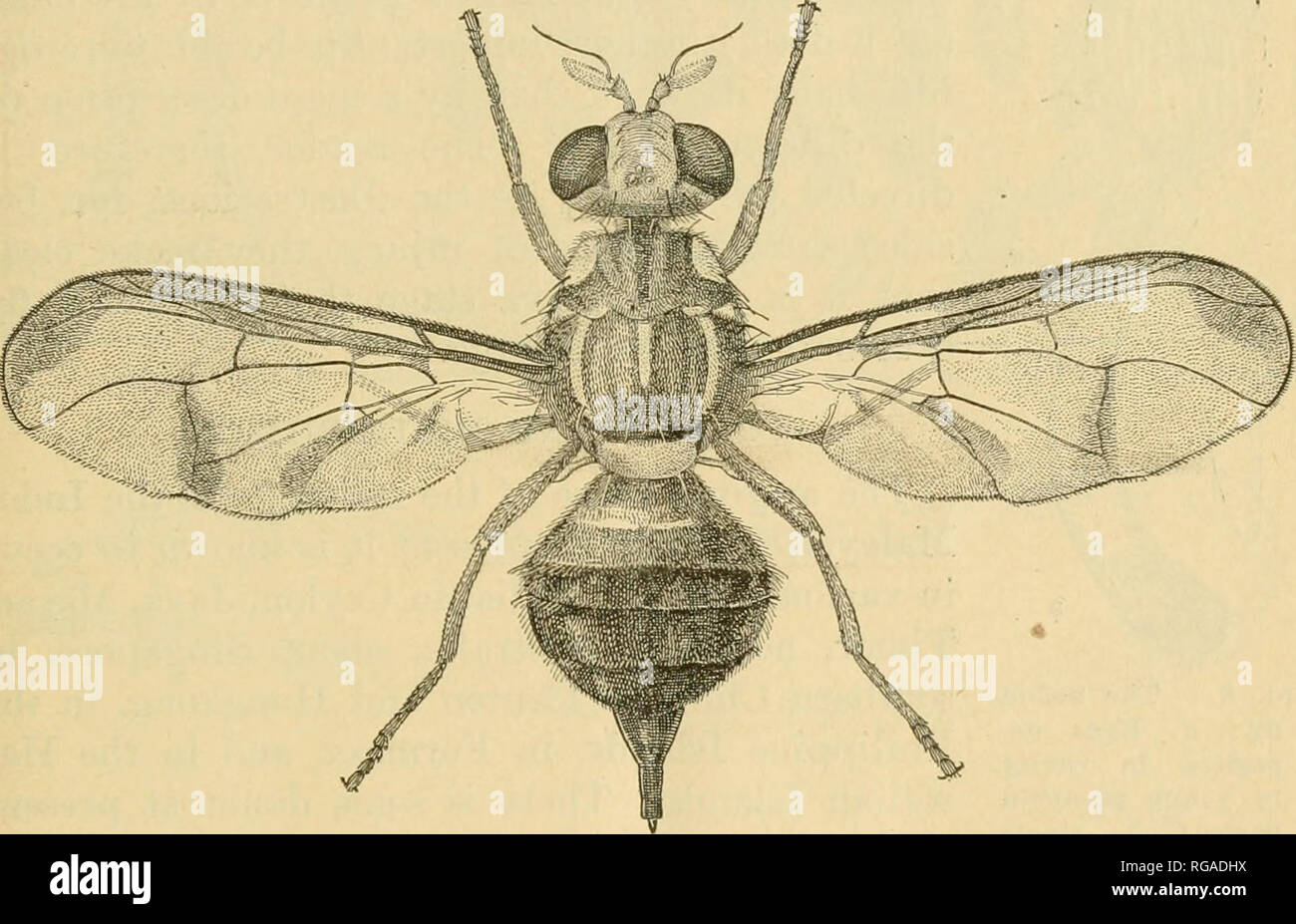 . Bulletin of the U.S. Department of Agriculture. Agriculture. THE ...