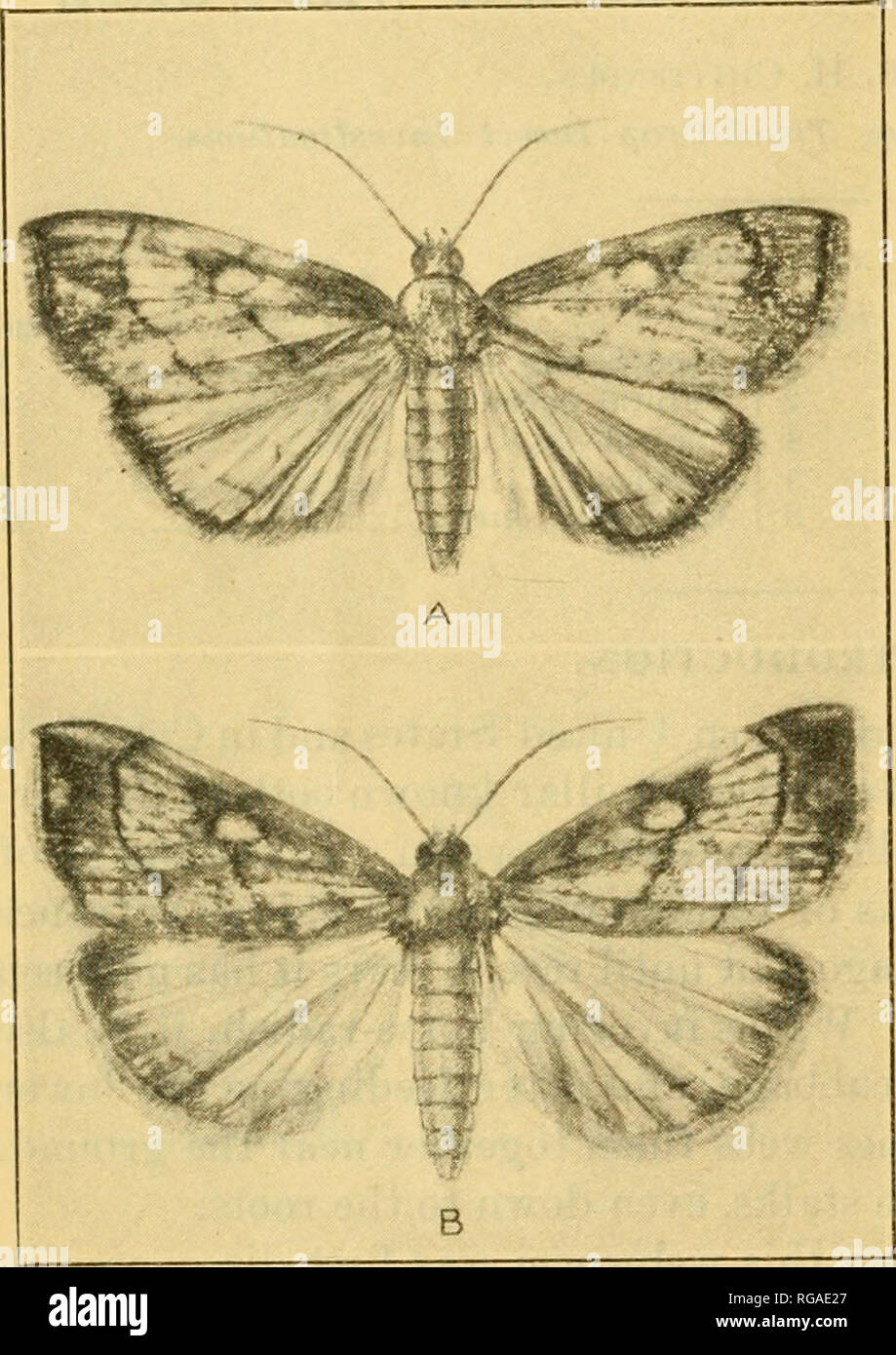 . Bulletin of the U.S. Department of Agriculture. Agriculture. 2 ...