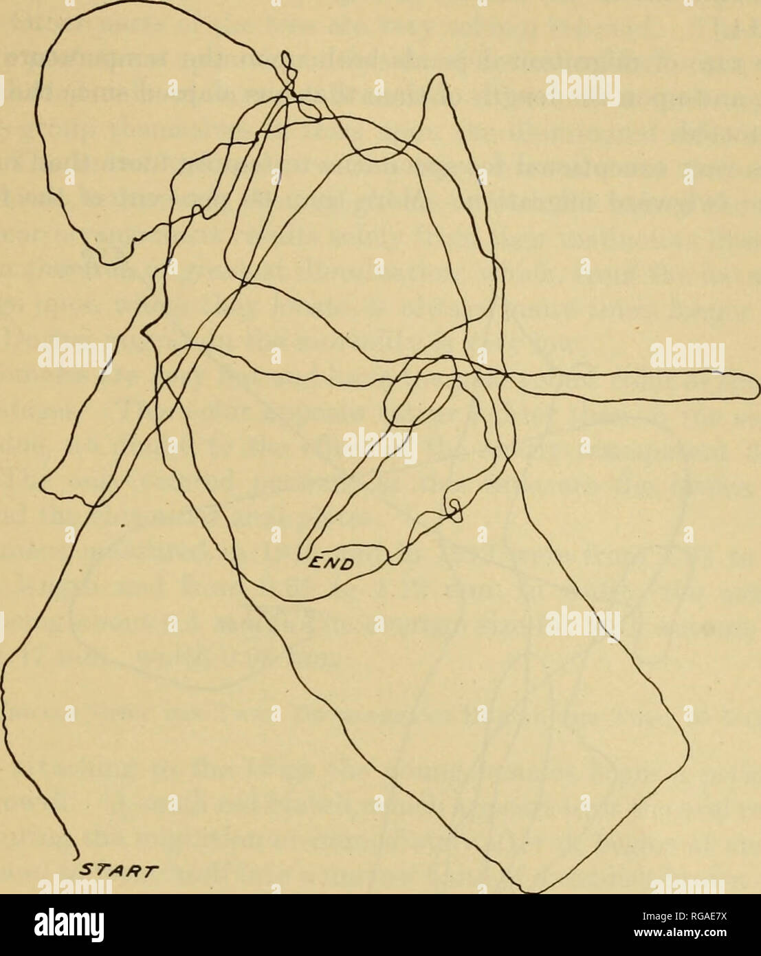 Tracing number 3 hi-res stock photography and images - Alamy