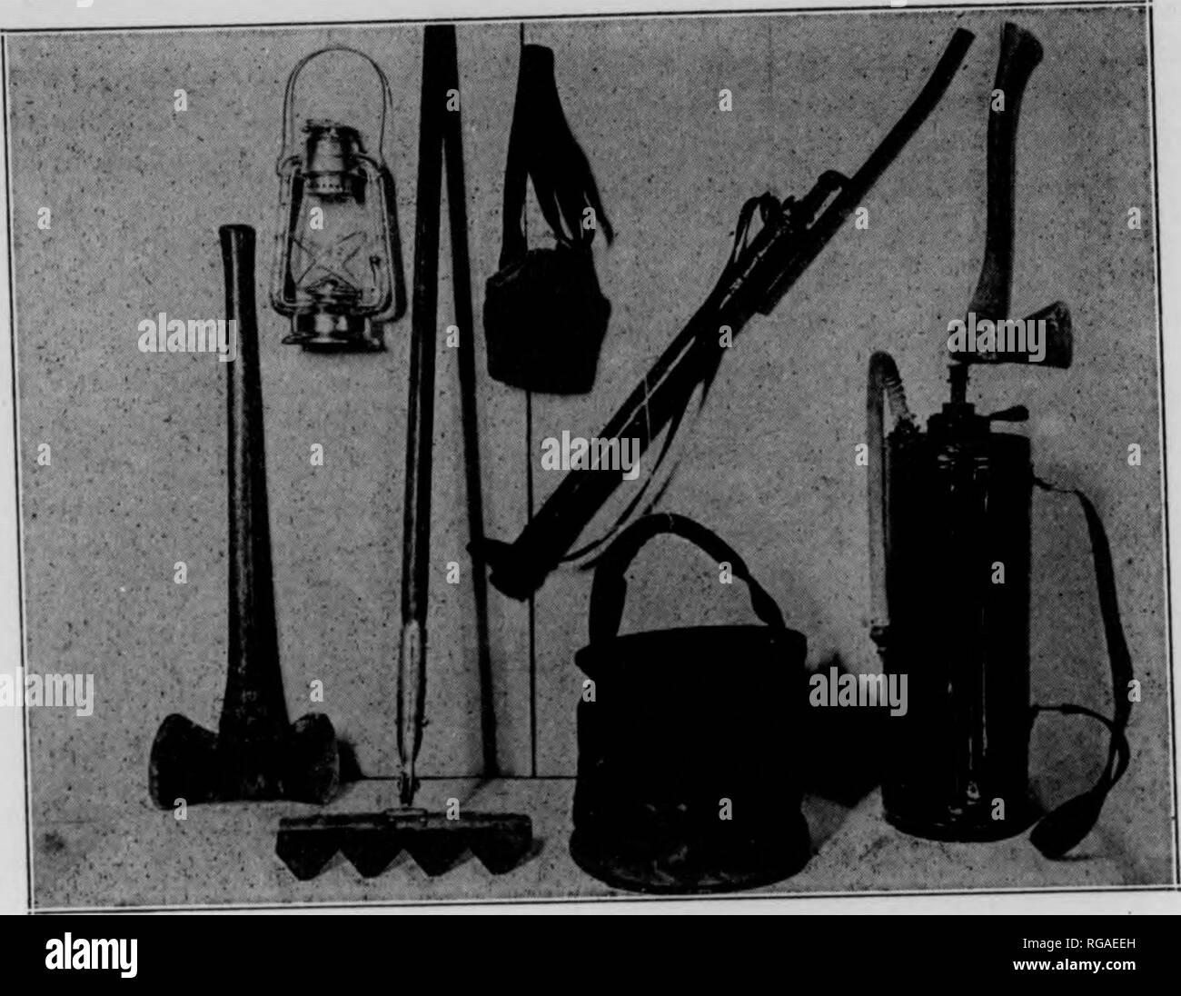 Crown fire forest fire Black and White Stock Photos & Images - Alamy