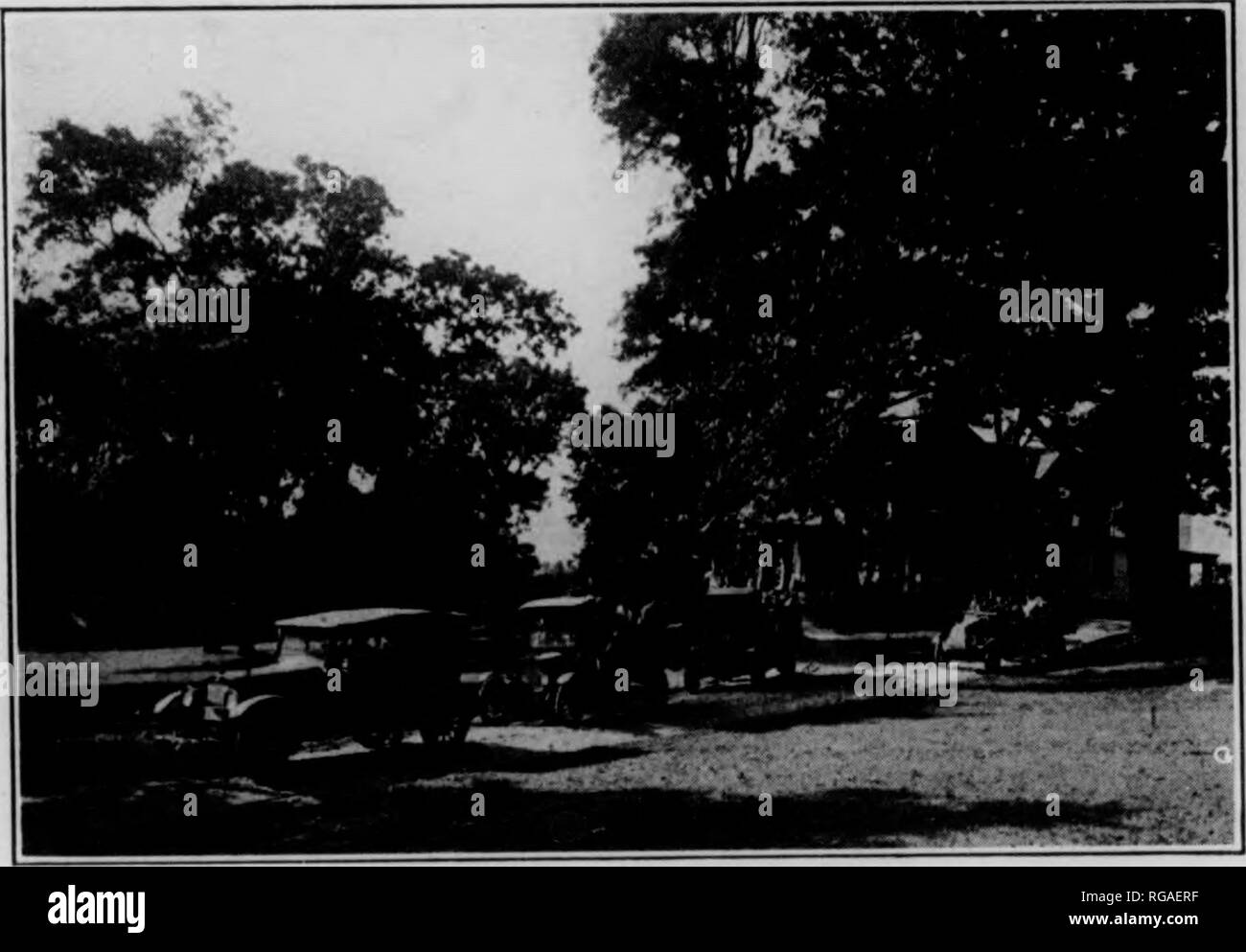 Experimental sample Black and White Stock Photos & Images - Alamy