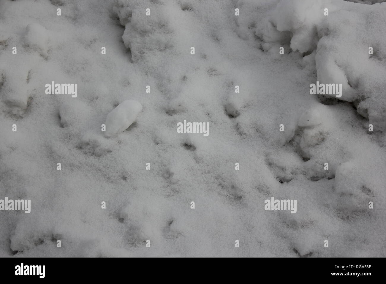 Winter weather snow embankment during Chicago's chiberia #polarvortex ...