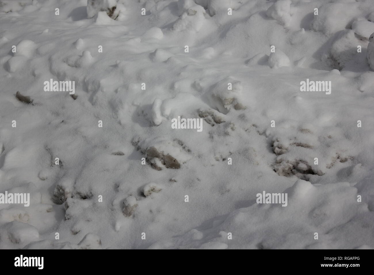 Winter weather snow embankment during Chicago's chiberia #polarvortex ...