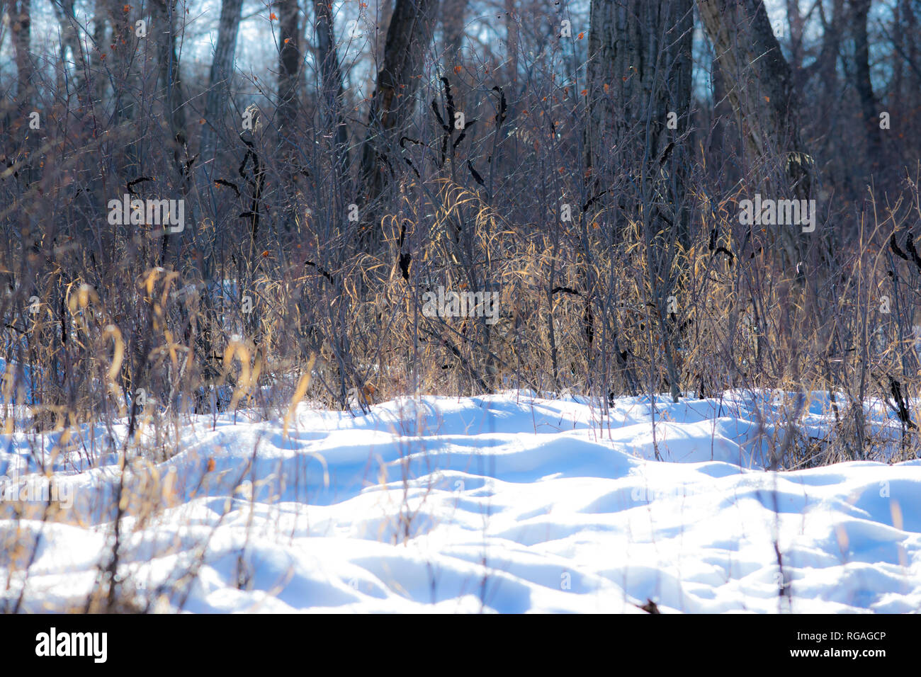 Warm earthy colors hi-res stock photography and images - Alamy