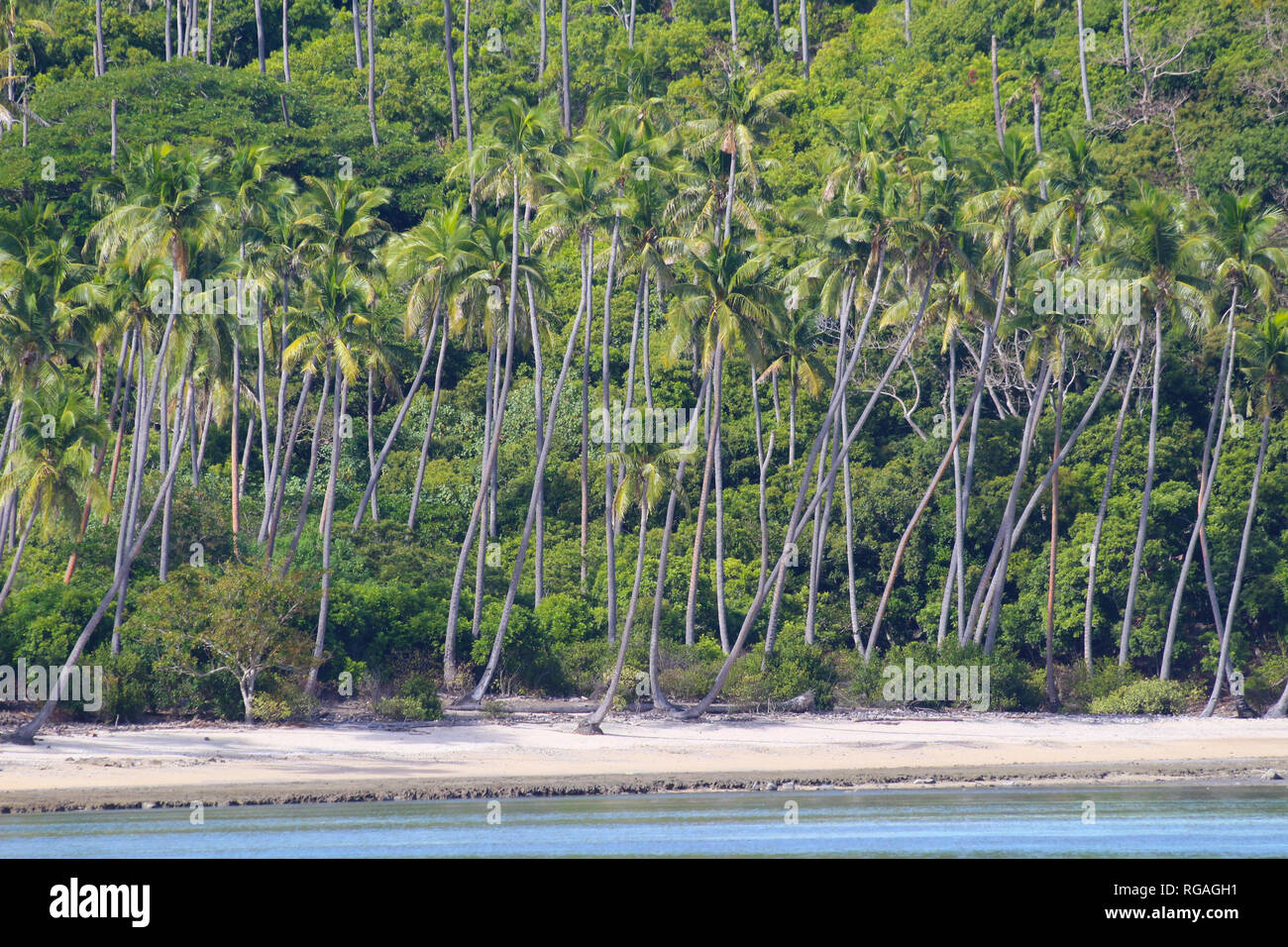 Narara hi-res stock photography and images - Alamy