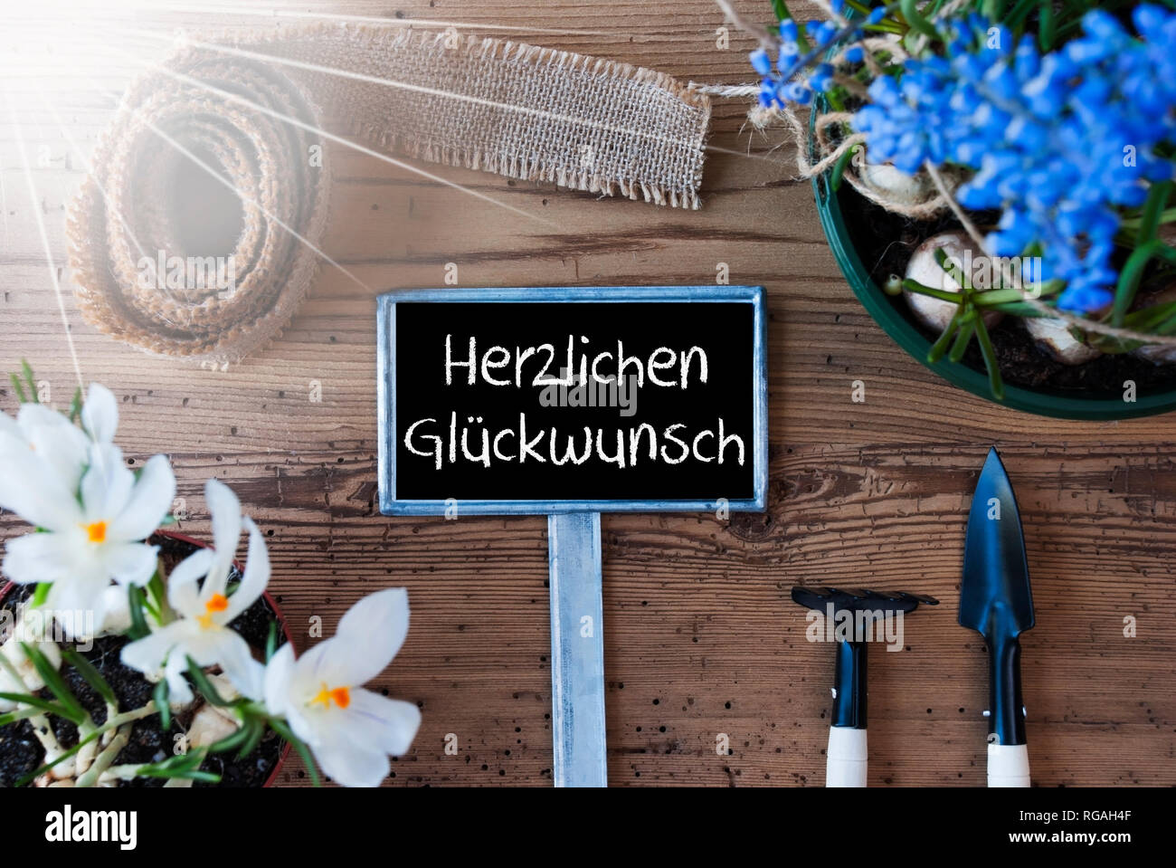 Sunny Spring Flowers, Sign, Herzlichen Glueckwunsch Means ...