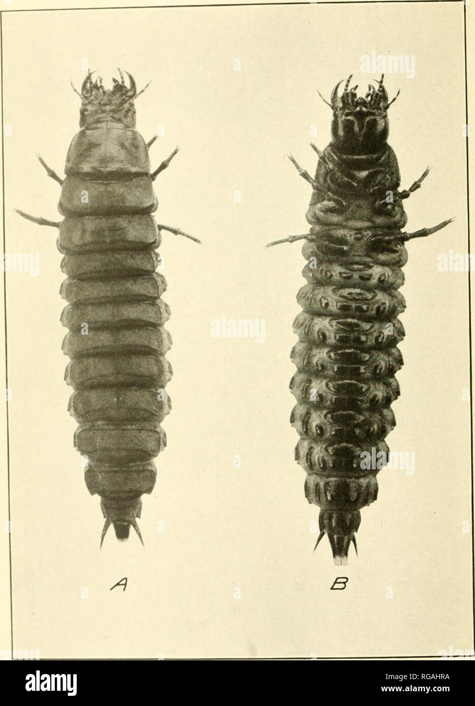 . Bulletin of the U.S. Department of Agriculture. Agriculture. Bui. 417 ...